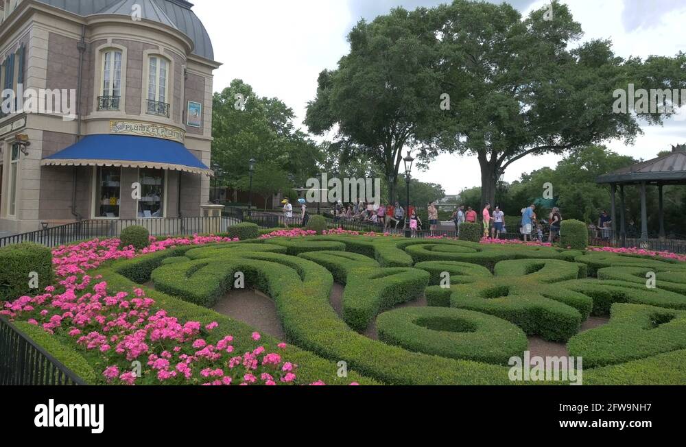 Picture maze Stock Videos & Footage - HD and 4K Video Clips - Alamy