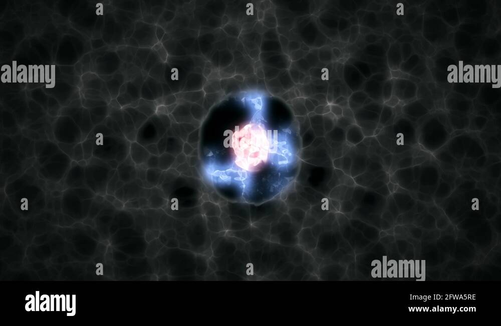 Animation of Dividing Cells on a Abstract Gray Background Stock Video ...