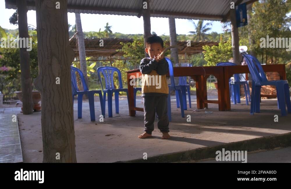 Stick gun Stock Videos & Footage - HD and 4K Video Clips - Alamy