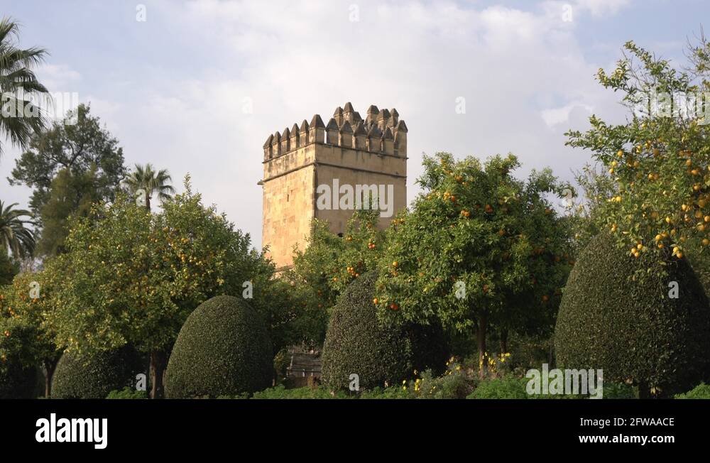 Lions tower Stock Videos & Footage - HD and 4K Video Clips - Alamy