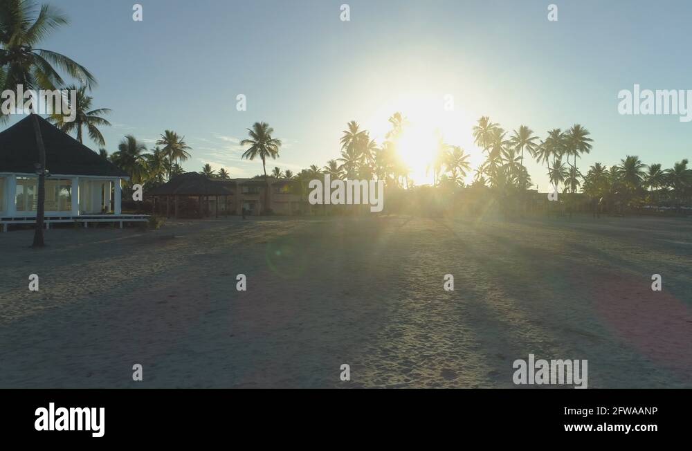 LENS FLARE: Morning sun rays peer through palm trees down on luxury ...