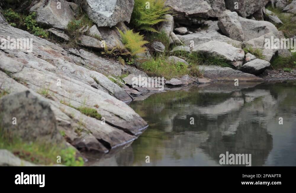 Watering stones Stock Videos & Footage - HD and 4K Video Clips - Alamy