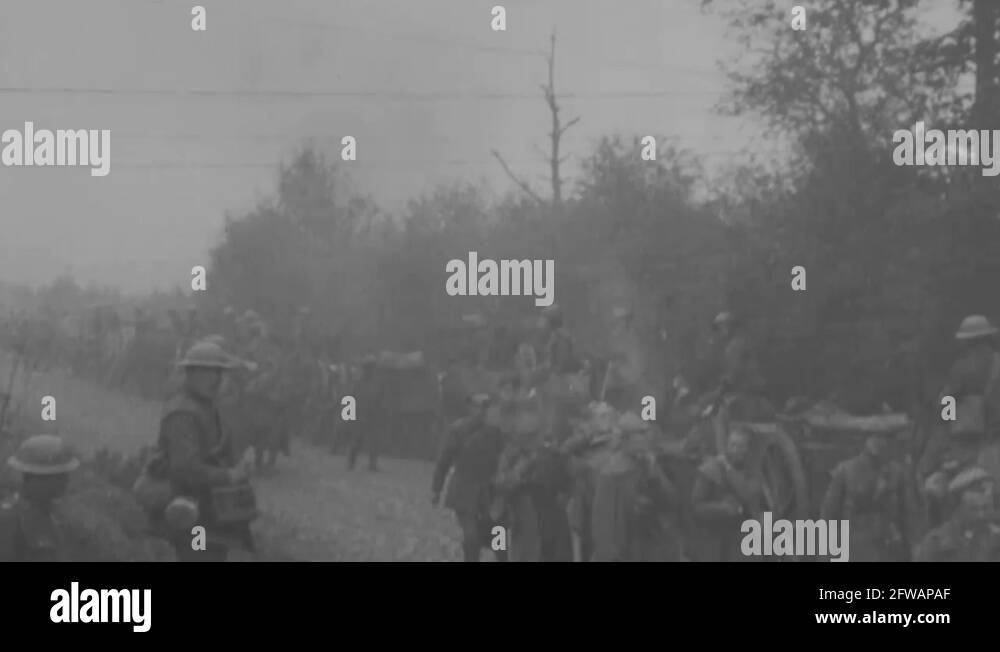Nord division Stock Videos & Footage - HD and 4K Video Clips - Alamy