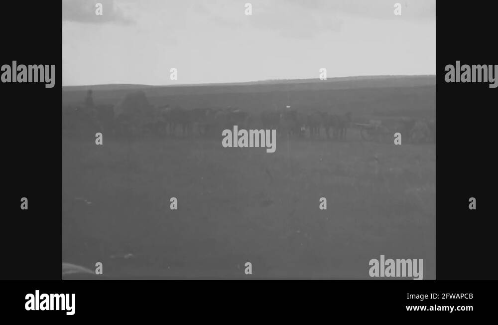 20th infantry regiment Stock Videos & Footage - HD and 4K Video Clips ...