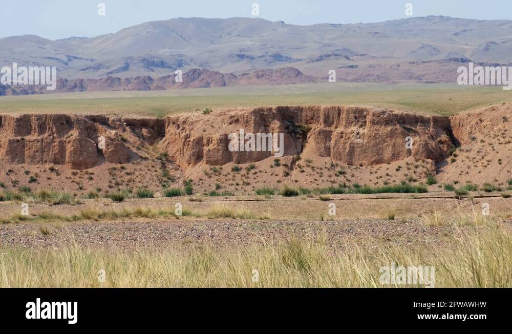 Grass mongolian steppe dry Stock Videos & Footage - HD and 4K Video ...