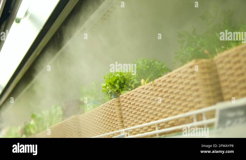 Hydration system Stock Videos & Footage - HD and 4K Video Clips - Alamy