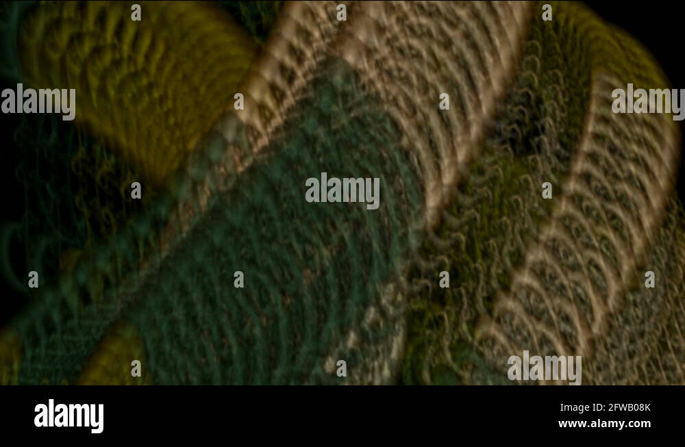 Worm worms Stock Videos & Footage - HD and 4K Video Clips - Alamy