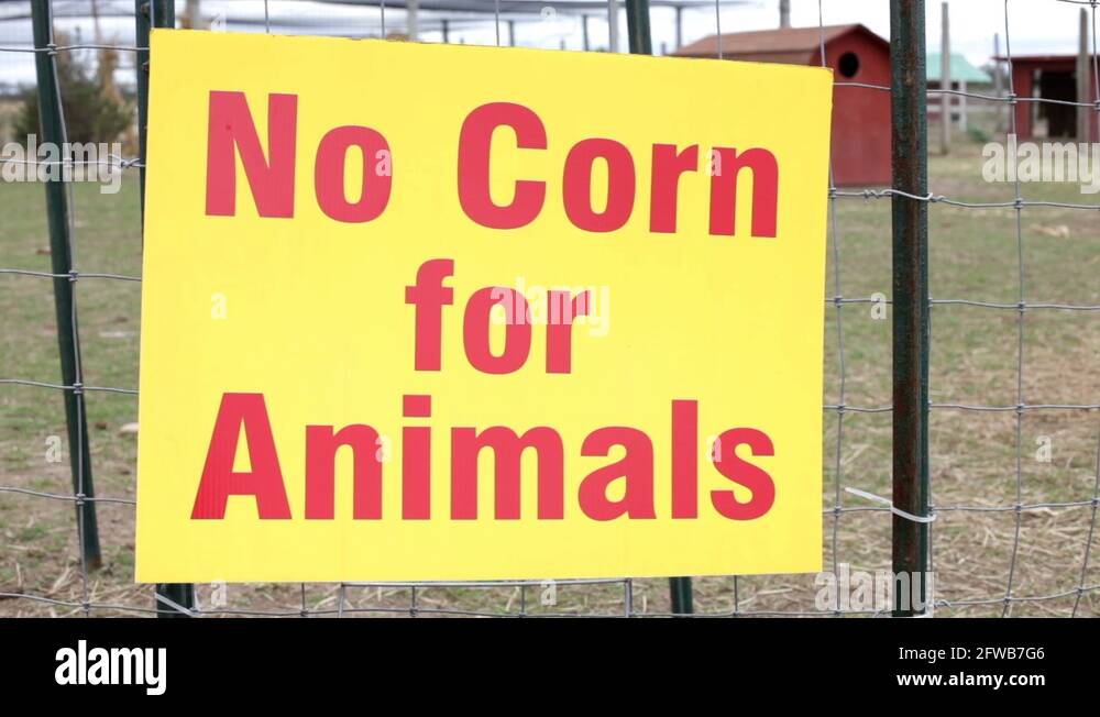 Farm animals warning sign Stock Videos & Footage - HD and 4K Video ...