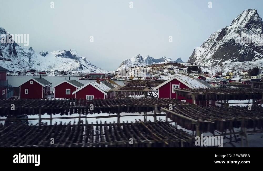 Lofoten norway dried fish Stock Videos & Footage - HD and 4K Video ...