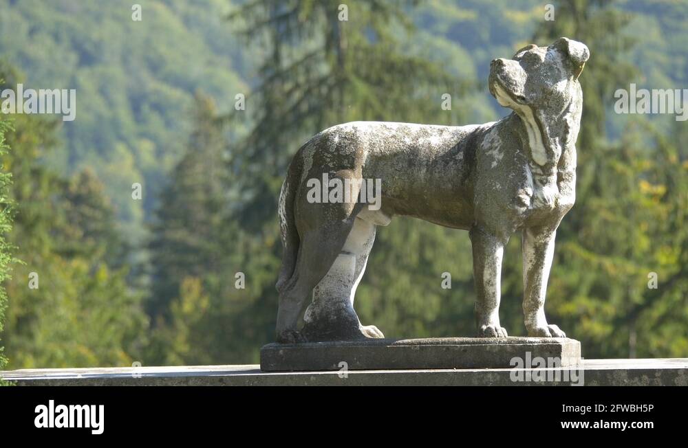 Statue Stock Videos & Footage - HD and 4K Video Clips - Alamy
