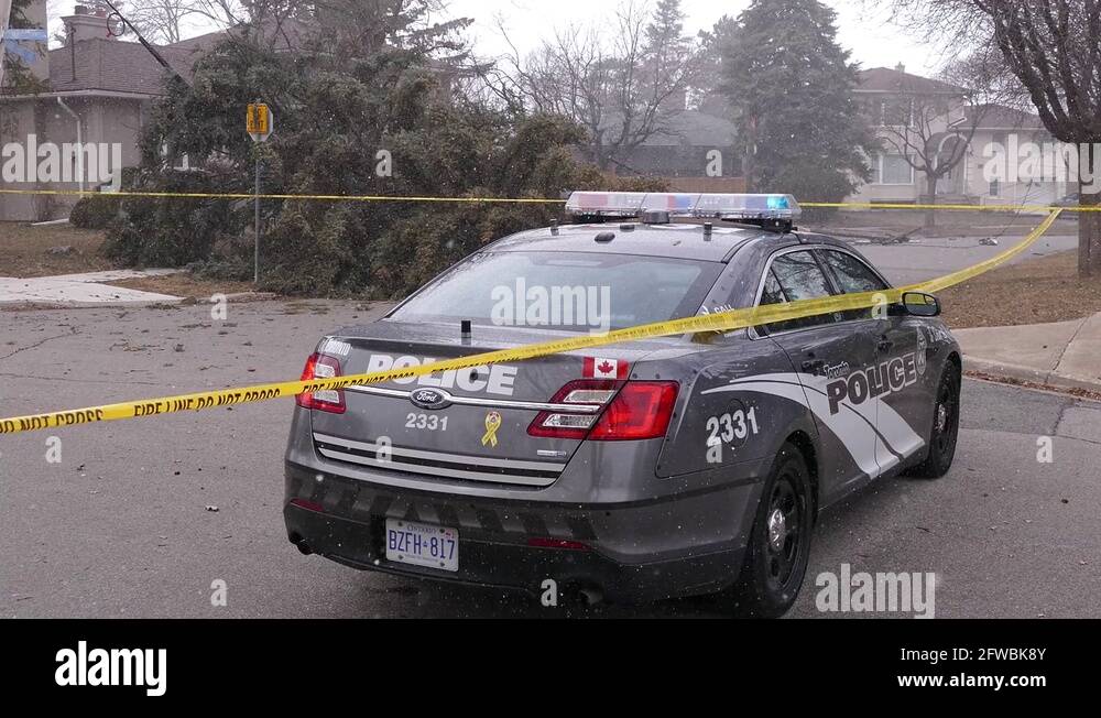 Trees and hydro power lines down as severe wind storm hits city Stock ...