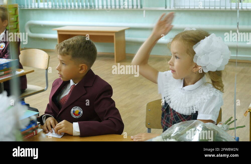 Study primary school children Stock Videos & Footage - HD and 4K Video ...
