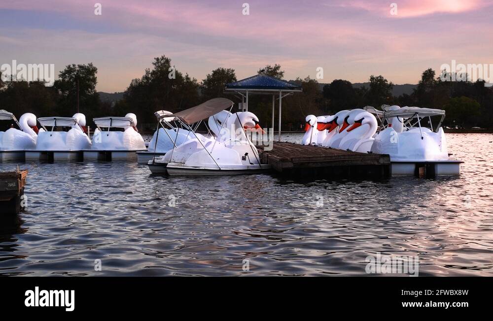 Swan dock Stock Videos & Footage - HD and 4K Video Clips - Alamy