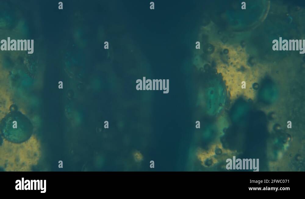 Water abstract background. Blue background. Boiling liquid. Chemical ...