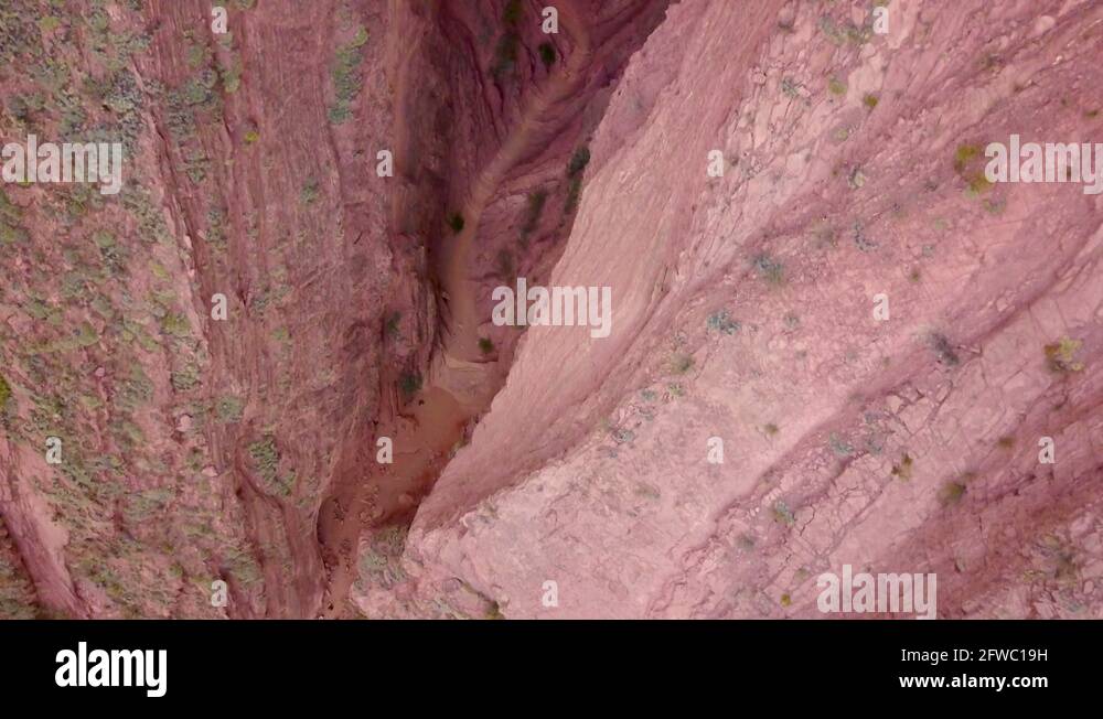 Eye formation Stock Videos & Footage - HD and 4K Video Clips - Alamy