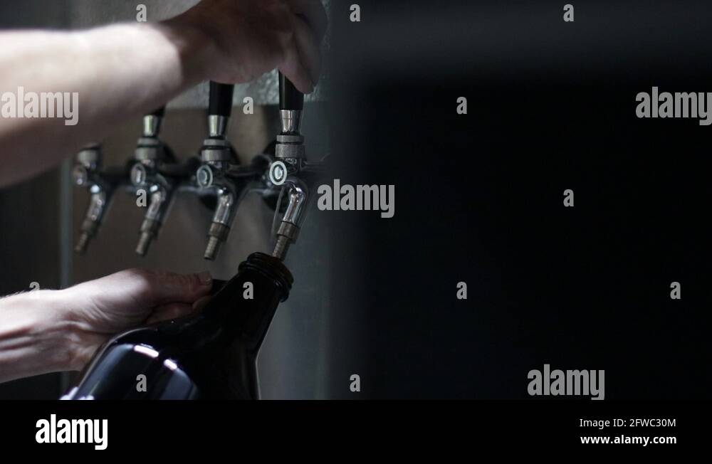 Use growler Stock Videos & Footage - HD and 4K Video Clips - Alamy