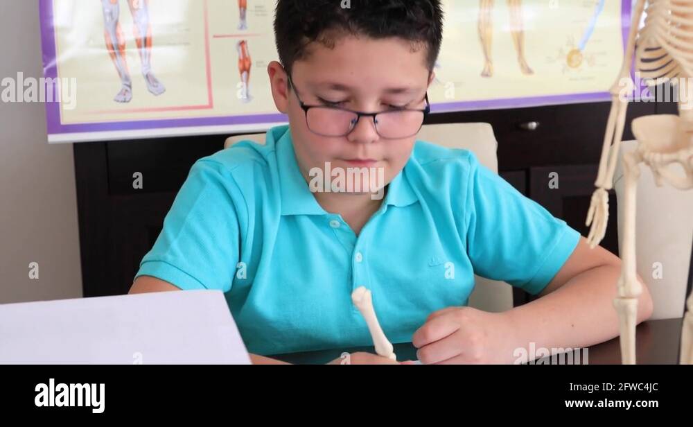 Student 2 student Stock Videos & Footage - HD and 4K Video Clips - Alamy