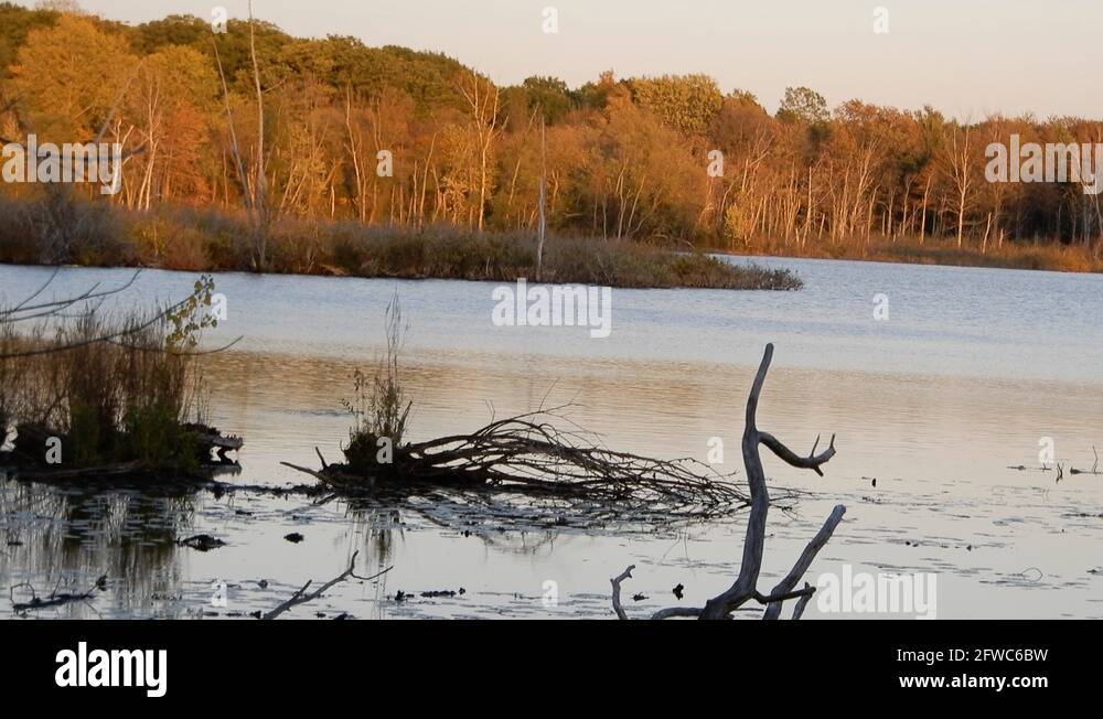 Slanted tilted Stock Videos & Footage - HD and 4K Video Clips - Alamy