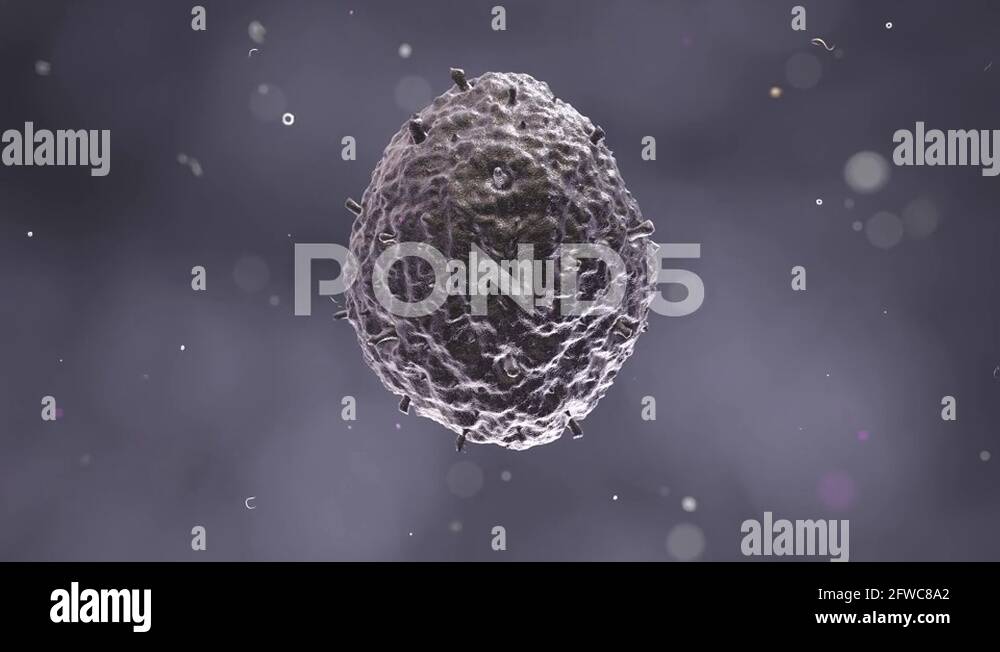 Scanning electron microscope image Stock Videos & Footage - HD and 4K ...