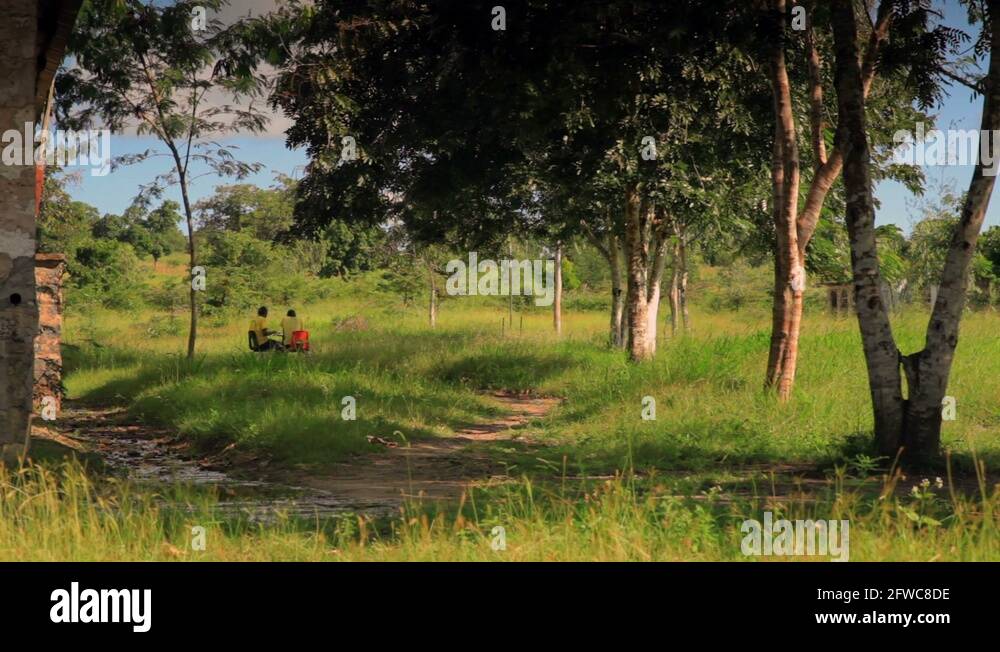 African school under tree Stock Videos & Footage - HD and 4K Video ...