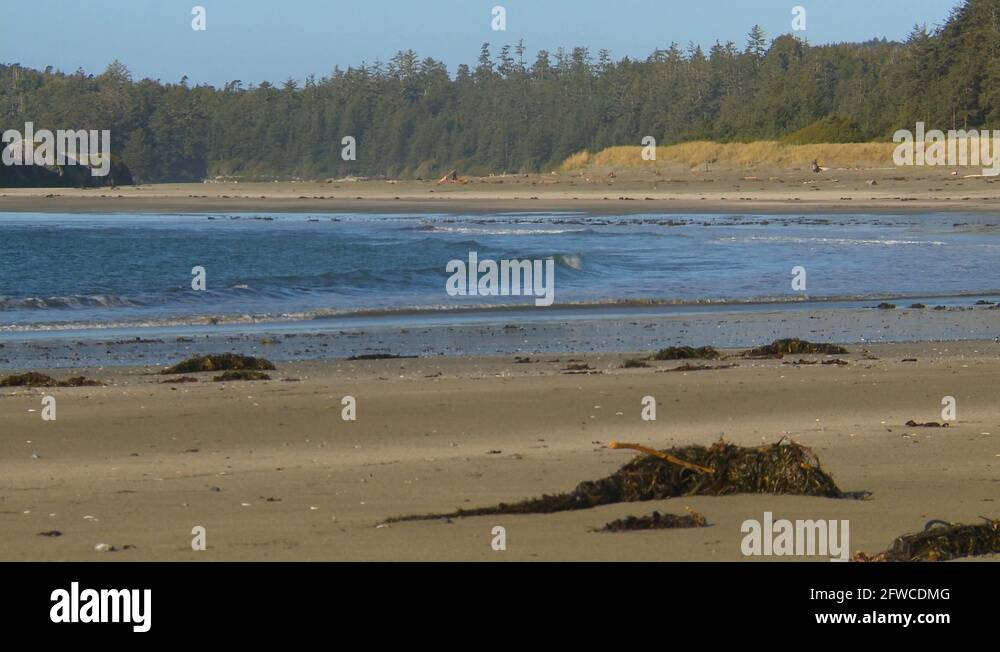 Schooner cove Stock Videos & Footage - HD and 4K Video Clips - Alamy