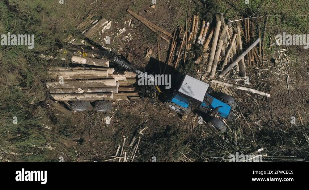 Timber carrier Stock Videos & Footage - HD and 4K Video Clips - Alamy
