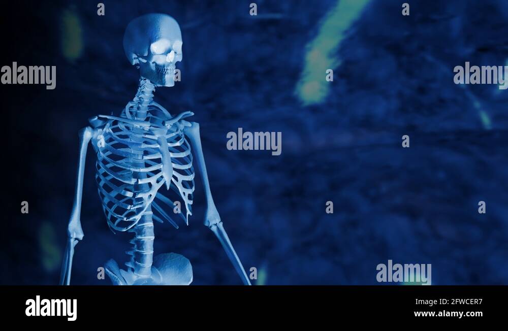 3d render medical skeleton shoulder Stock Videos & Footage - HD and 4K ...