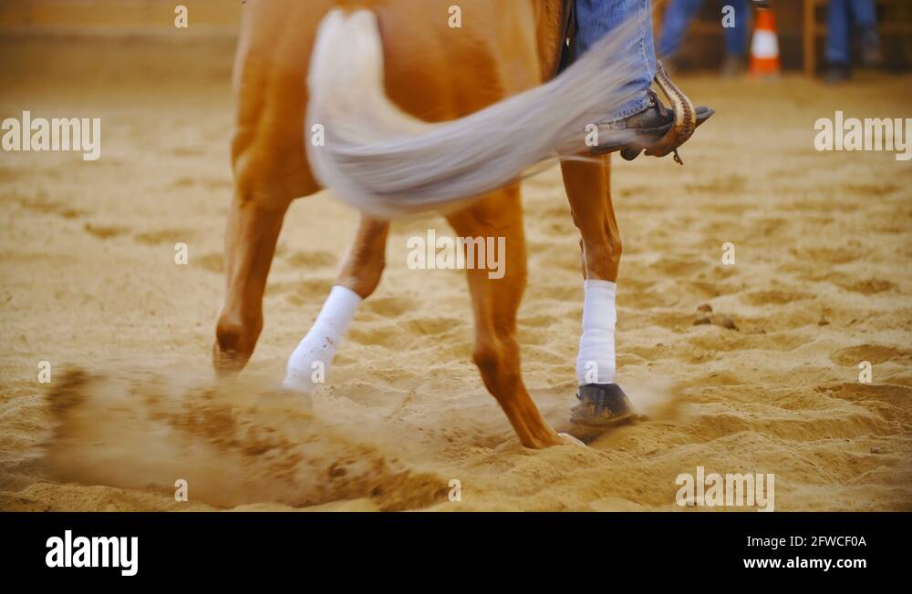 Western horse spin technique in slow motion 4K Stock Video Footage - Alamy