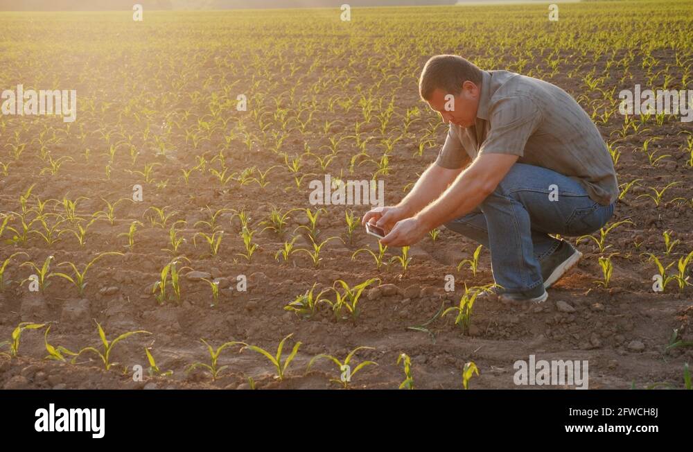 Research photographs Stock Videos & Footage - HD and 4K Video Clips - Alamy