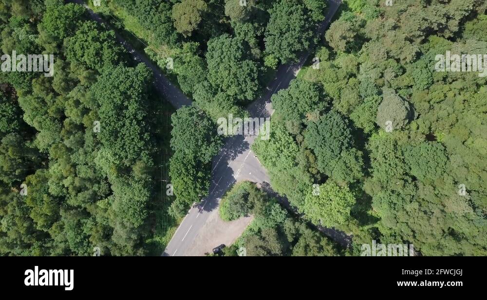 Heath common Stock Videos & Footage - HD and 4K Video Clips - Alamy