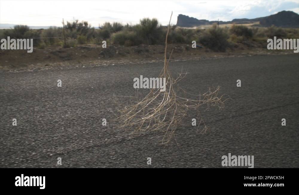 Tumbleweed blowing Stock Videos & Footage - HD and 4K Video Clips - Alamy