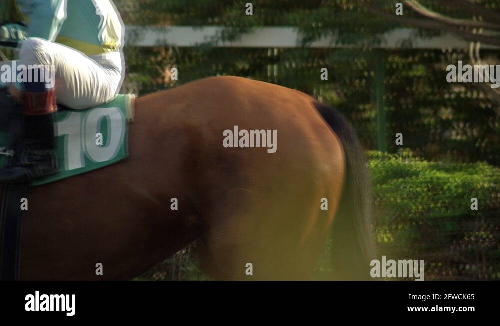 Race jockey club Stock Videos & Footage - HD and 4K Video Clips - Alamy