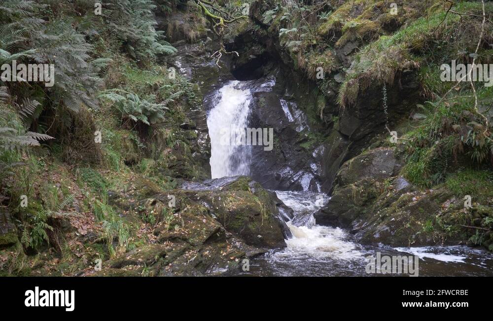 Wetland waterfall Stock Videos & Footage - HD and 4K Video Clips - Alamy