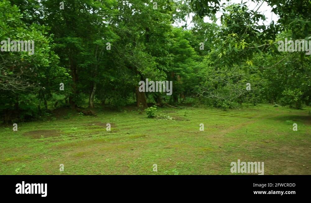 See overview horizontal Stock Videos & Footage - HD and 4K Video Clips ...