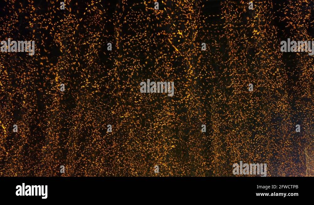 Asia light abstract Stock Videos & Footage - HD and 4K Video Clips - Alamy