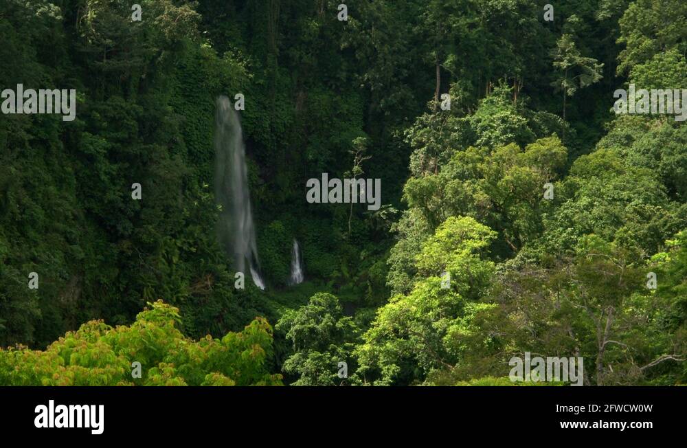 Jungle scenery Stock Videos & Footage - HD and 4K Video Clips - Alamy