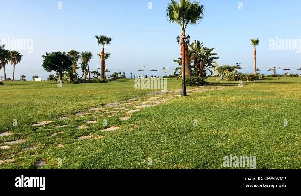 Grassed area Stock Videos & Footage - HD and 4K Video Clips - Alamy