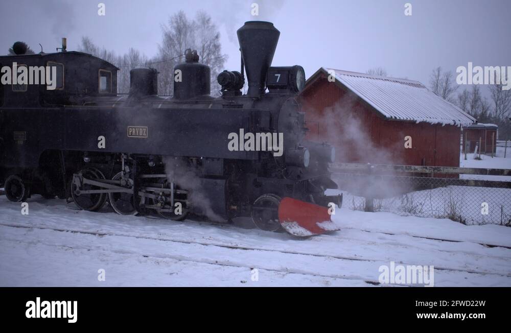 Steam locomotive of narrow gauge railway and people walking on platform ...