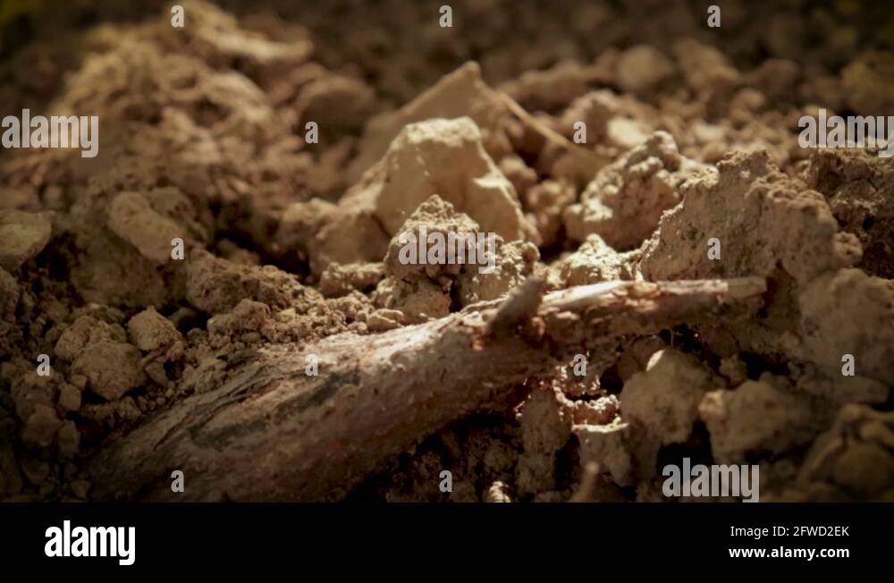 Pile image Stock Videos & Footage - HD and 4K Video Clips - Alamy