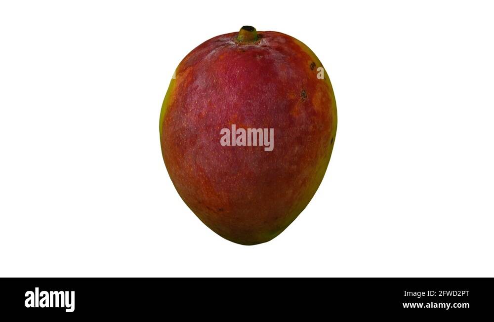 Rotating Mango on White Background (Looping Stock Video Footage - Alamy