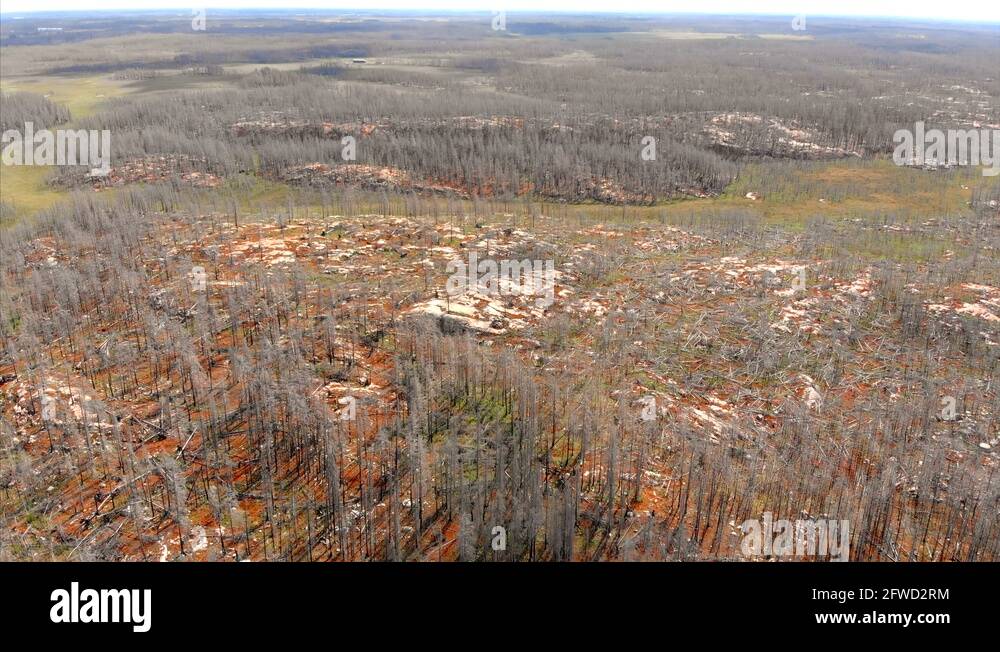 Drone footage (in 4K) after a wildfire/forest fire in Sweden showing ...