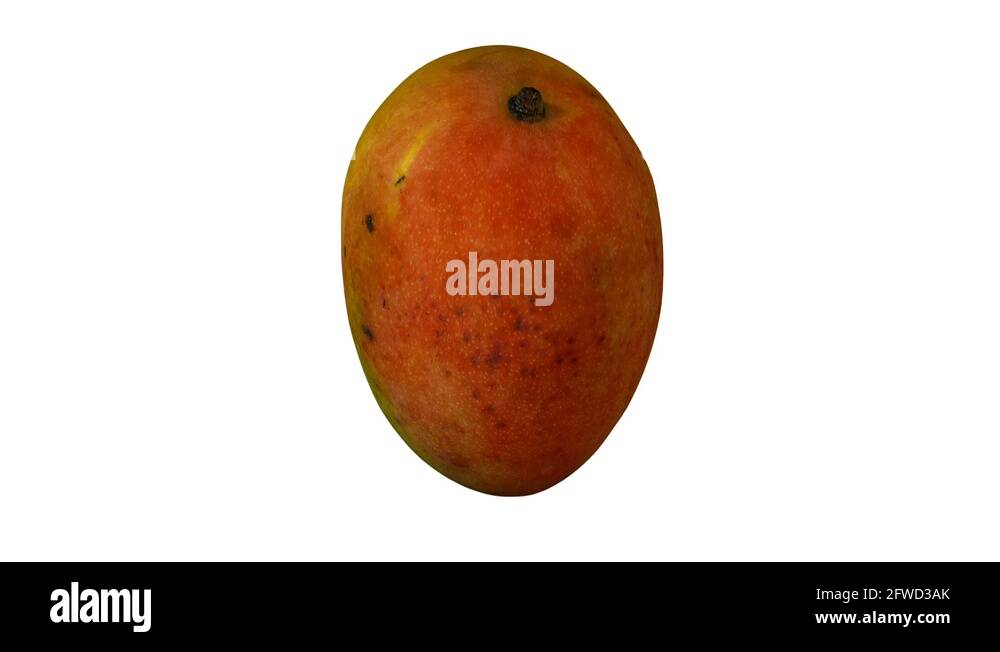 Rotating Mango on White Background (Looping Stock Video Footage - Alamy