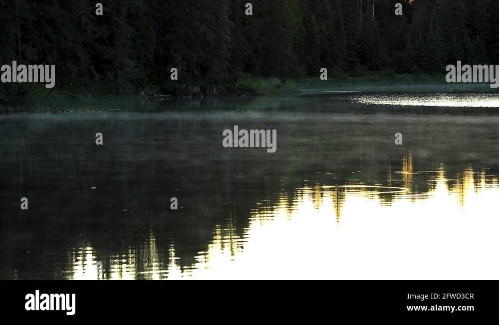 Morning mist over boreal forest Stock Videos & Footage - HD and 4K ...