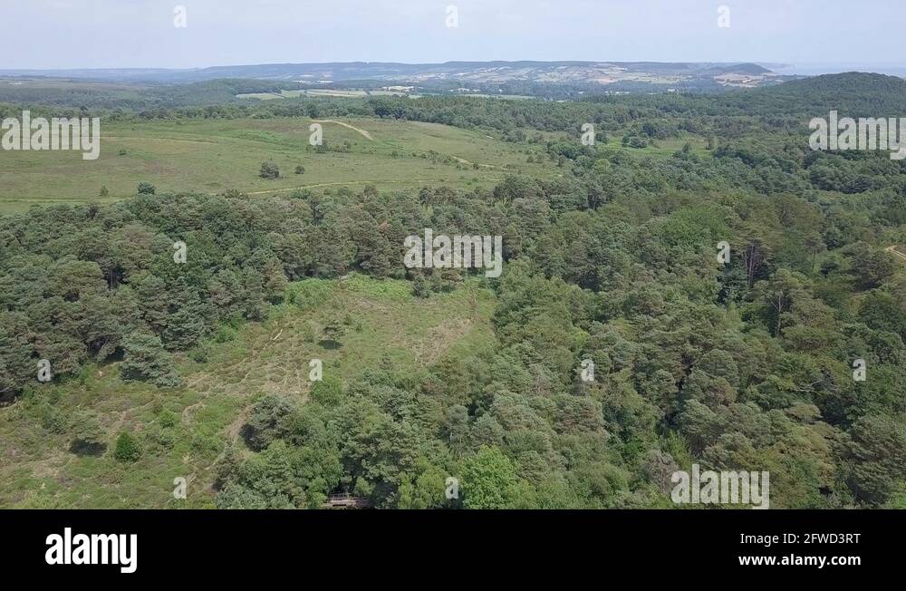 Sprawling texture Stock Videos & Footage - HD and 4K Video Clips - Alamy