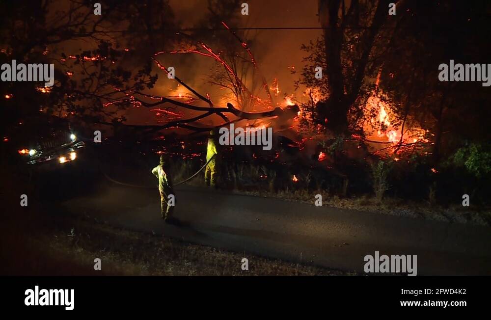 FOREST FIRE REDDING CALIFORNIA WILDFIRES FLAMES DEVASTATION HD VIDEO ...