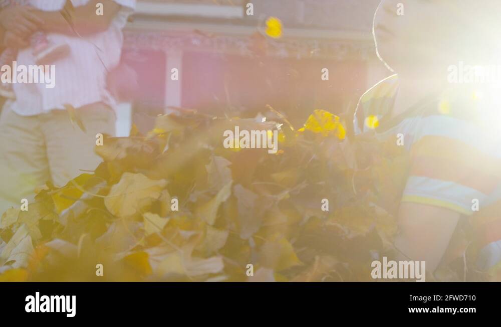Close perspective of boy throwing arm full of leaves in the air with ...