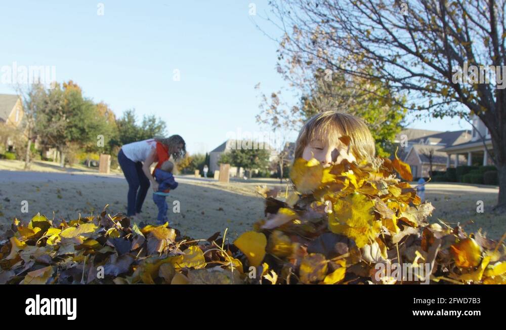 Boy scoops Stock Videos & Footage - HD and 4K Video Clips - Alamy