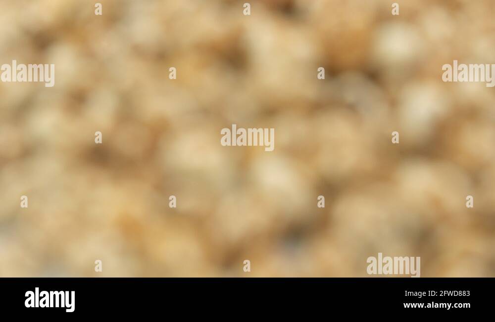 Rich starch Stock Videos & Footage - HD and 4K Video Clips - Alamy