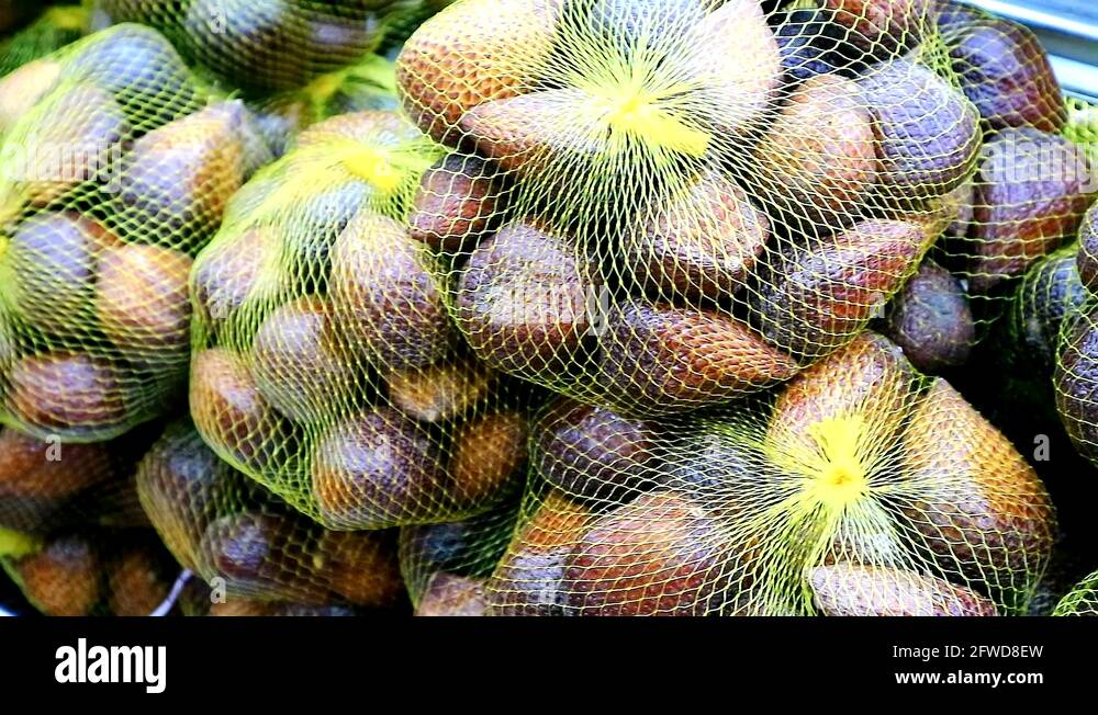 Indonesian palm fruit Stock Videos & Footage - HD and 4K Video Clips ...