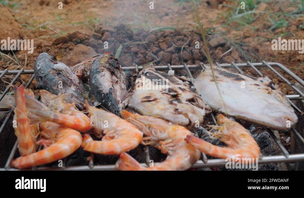 Fish shrimp prawn prawns shellfish Stock Videos & Footage - HD and 4K ...